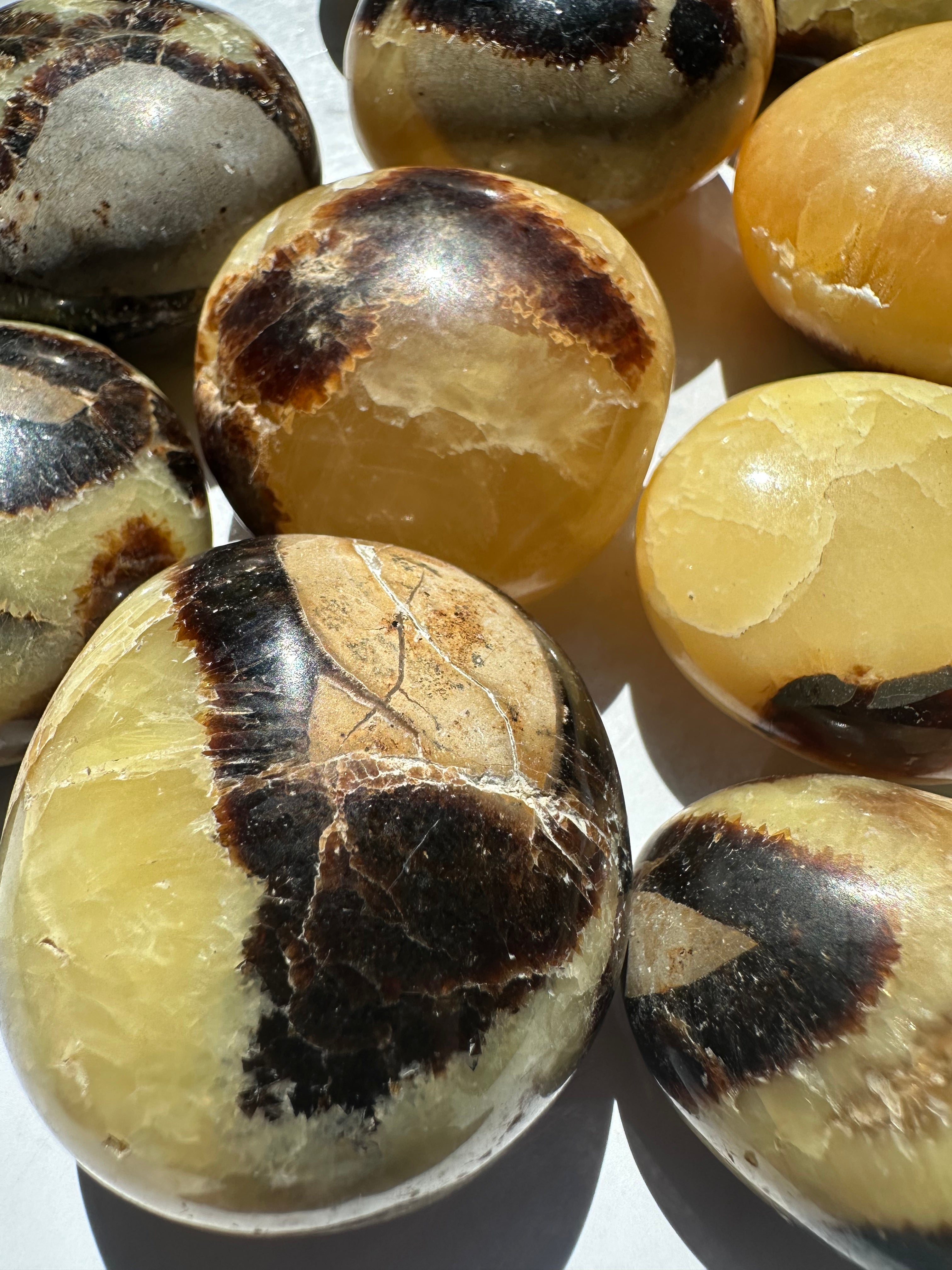 Septarian Palm Stone 4–5 cm (Dragon Stone) – Natural Polished Worry St ...